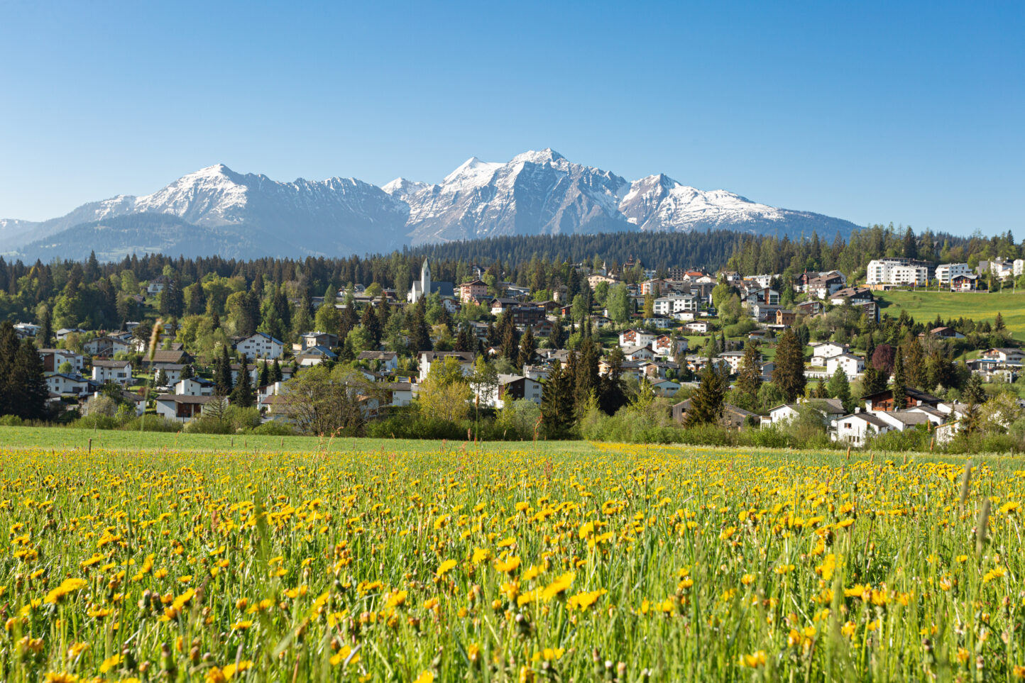 Gemeindekommunikation Flims – Quant AG